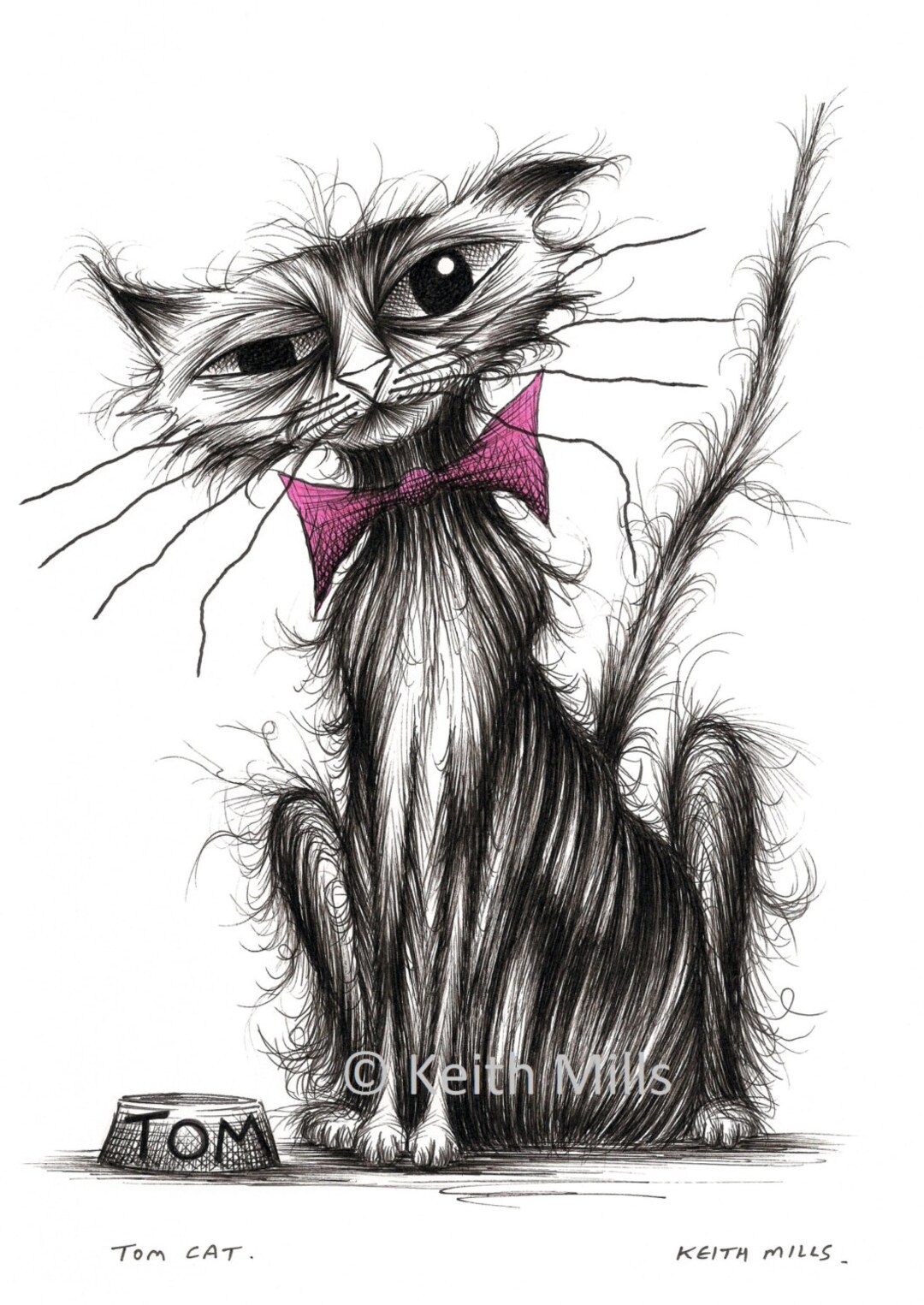 Tom Cat Print A4 Size Picture Very Sweet Cute Little Pet Kitten Puss ...