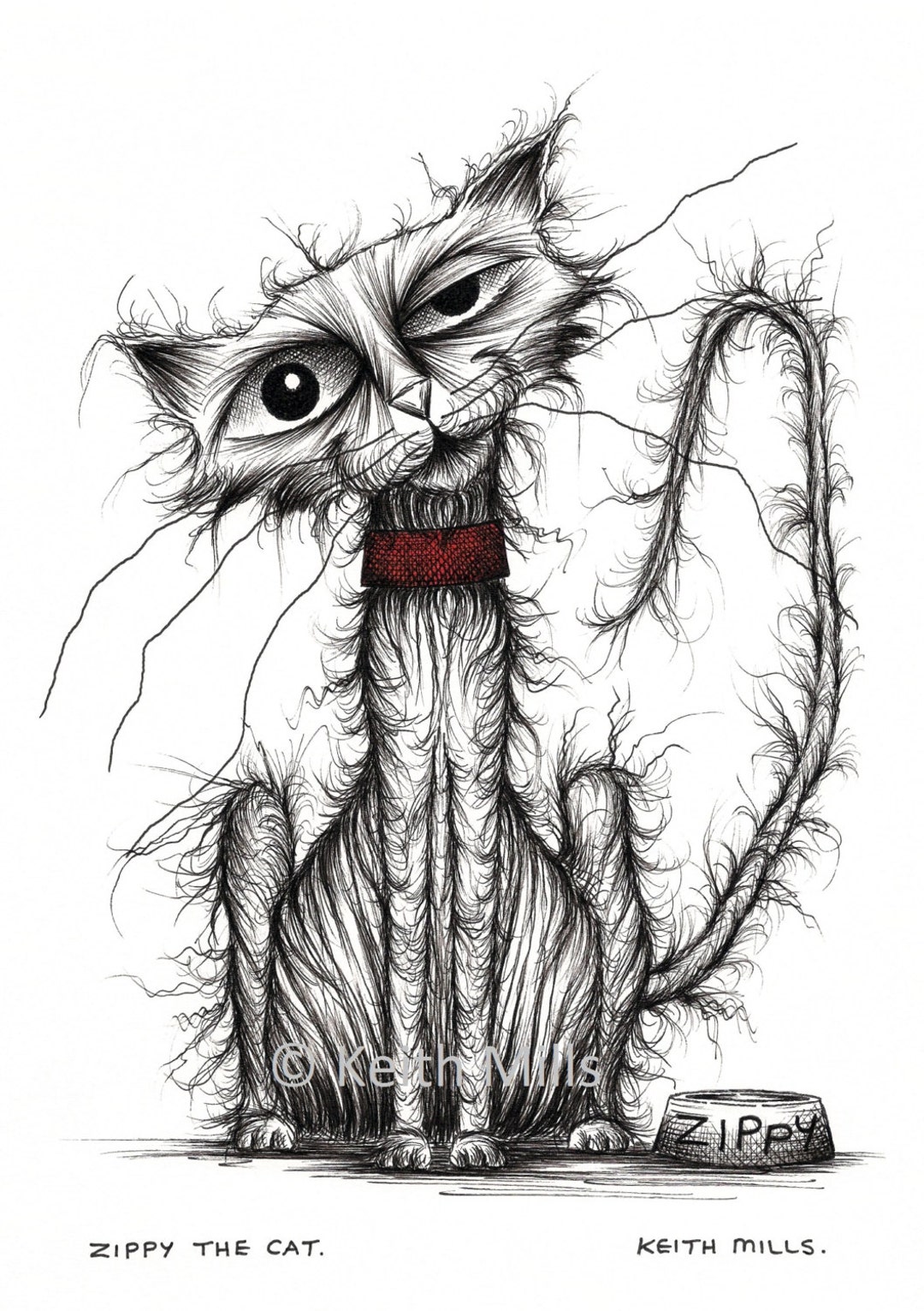 Zippy the Cat Print A4 Size Picture Shabby Scruffy Stinky Pet Kitty ...