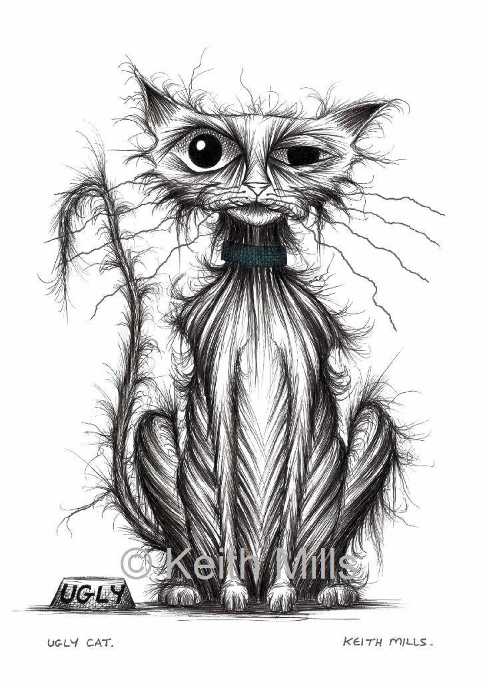 Ugly Cat Print Download Horrid Shabby Scruffy Nasty Moggy Who Needs a ...