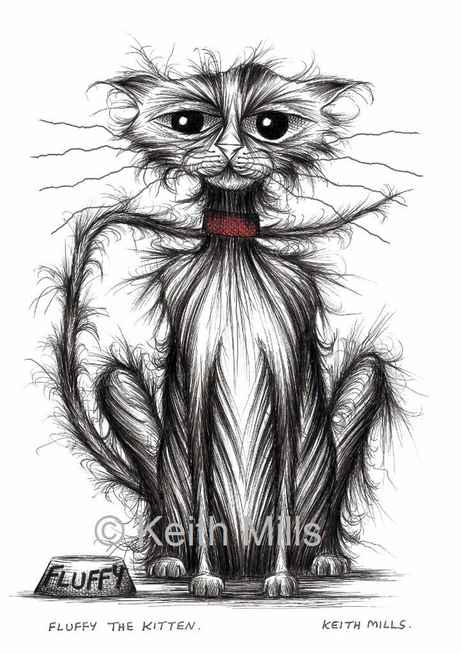 Fluffy the Kitten Print Download Grubby Shabby Scruffy Pet Cat Looking ...