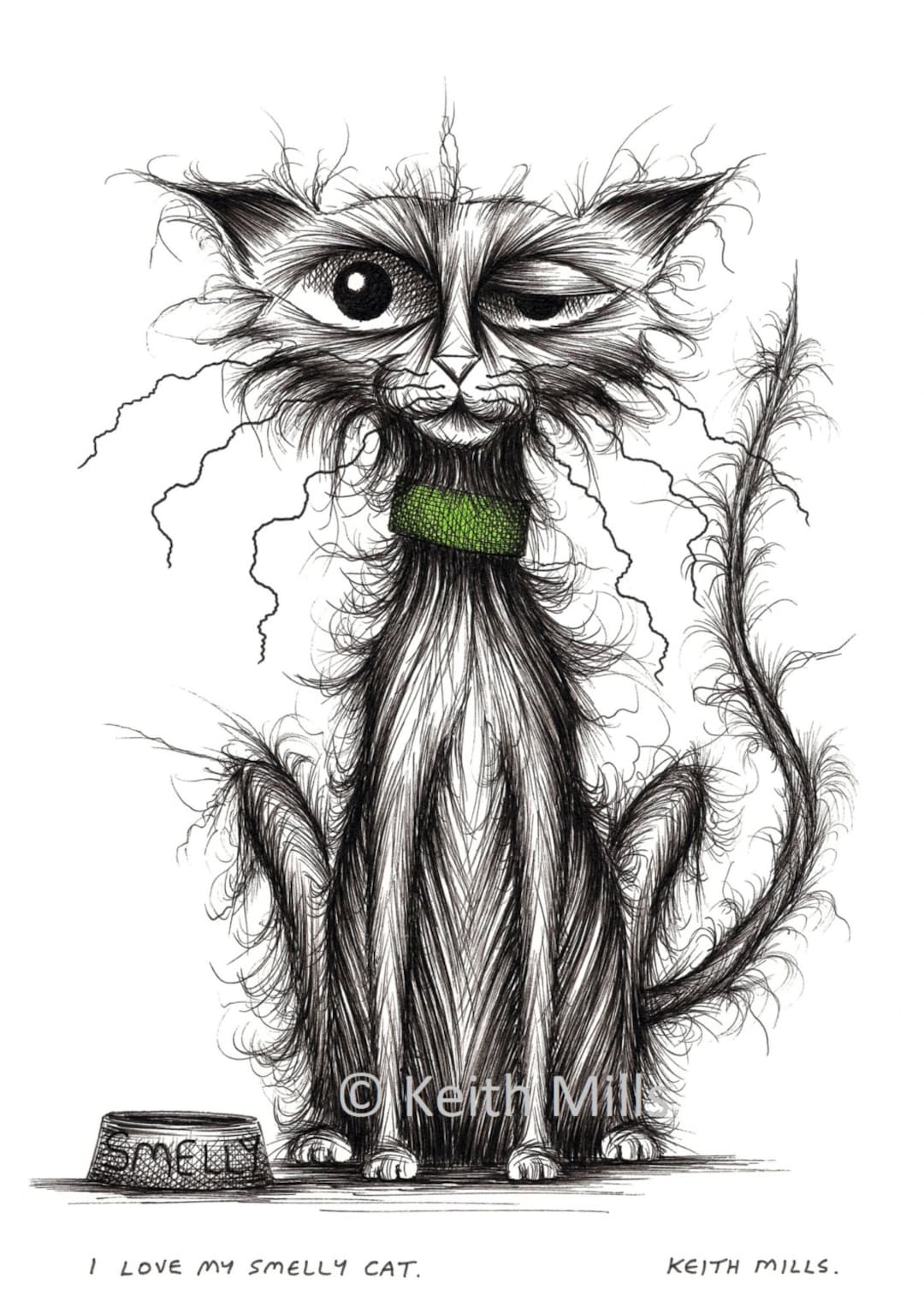 I Love My Smelly Cat Print A4 Size Picture Stinky Skinny Slim Pet ...