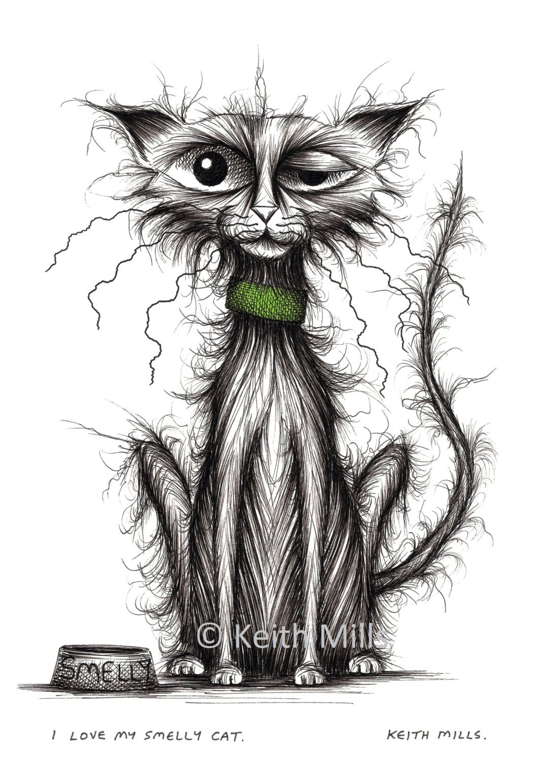 I Love My Smelly Cat Print A4 Size Picture Stinky Skinny Slim Pet ...