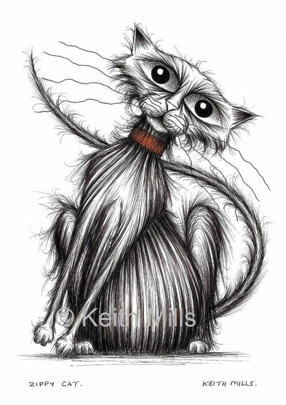 Zippy Cat Print Download Friendly Happy Looking Pet Kitty Puss - Etsy