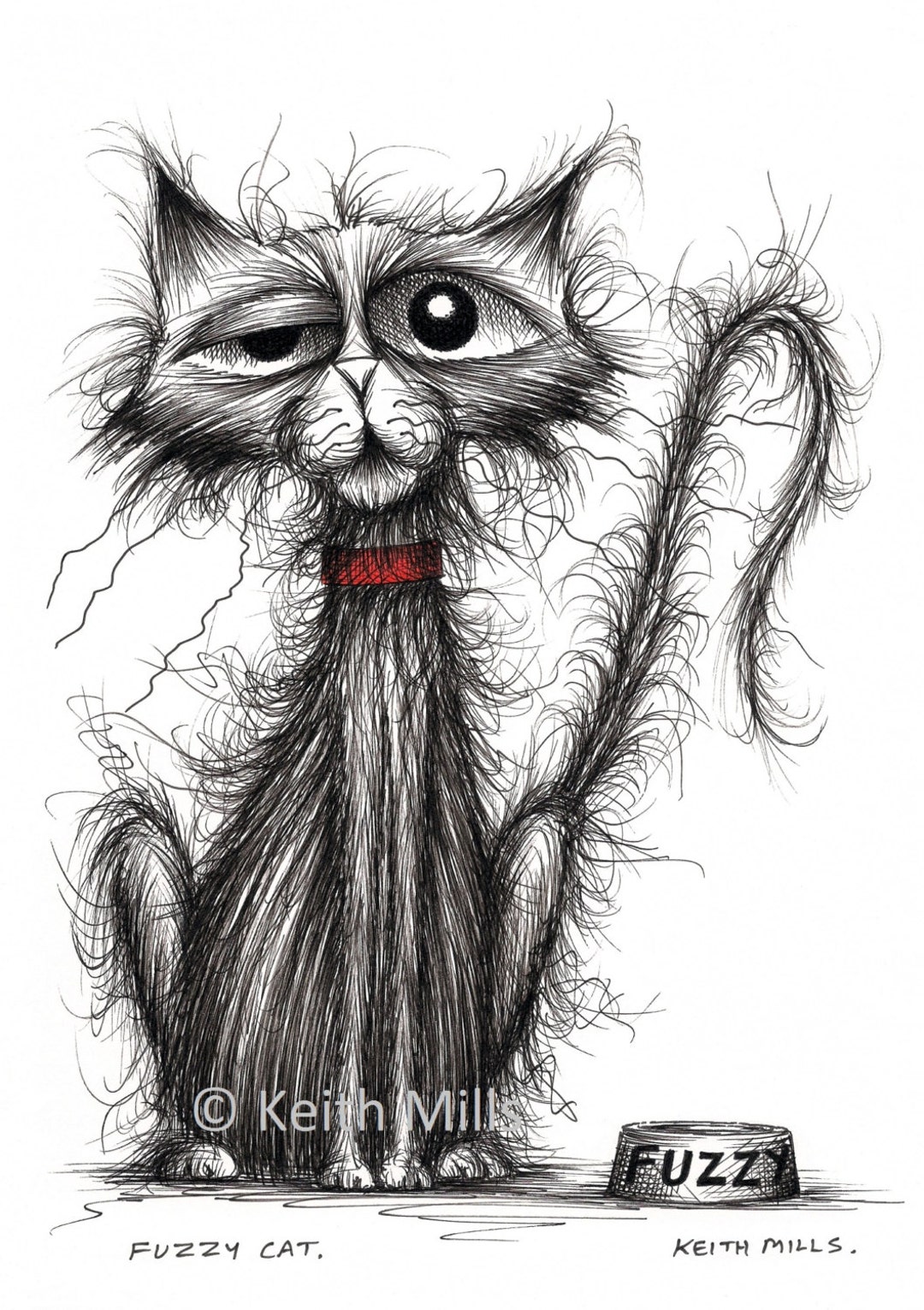 Fuzzy Cat Print Download Grumpy Little Pet Kitten Kitty Pussycat With ...