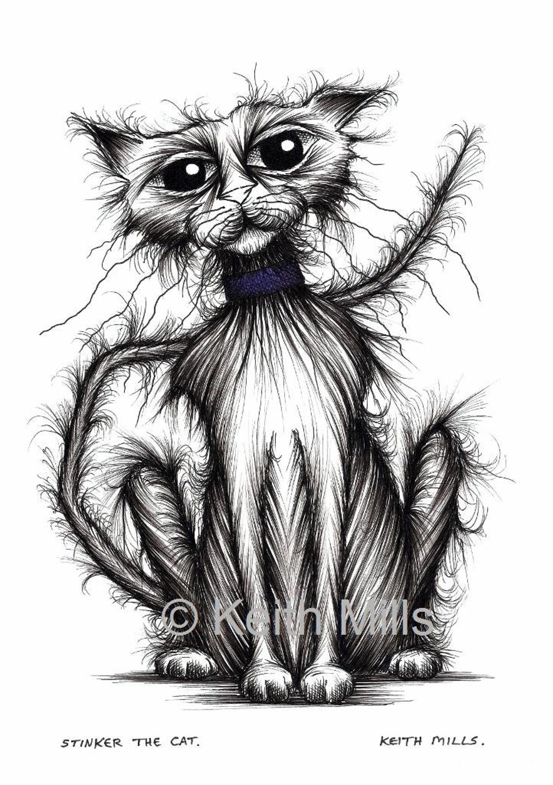 Stinker the Cat Print A4 Size Picture Scruffy Smelly Pet Puss Kitty ...