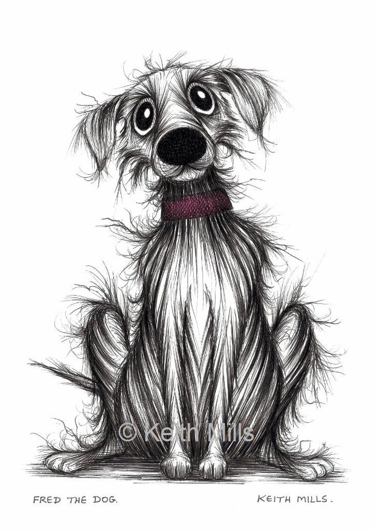 Fred the Dog Print A4 Size Picture Handsome and Slightly | Etsy