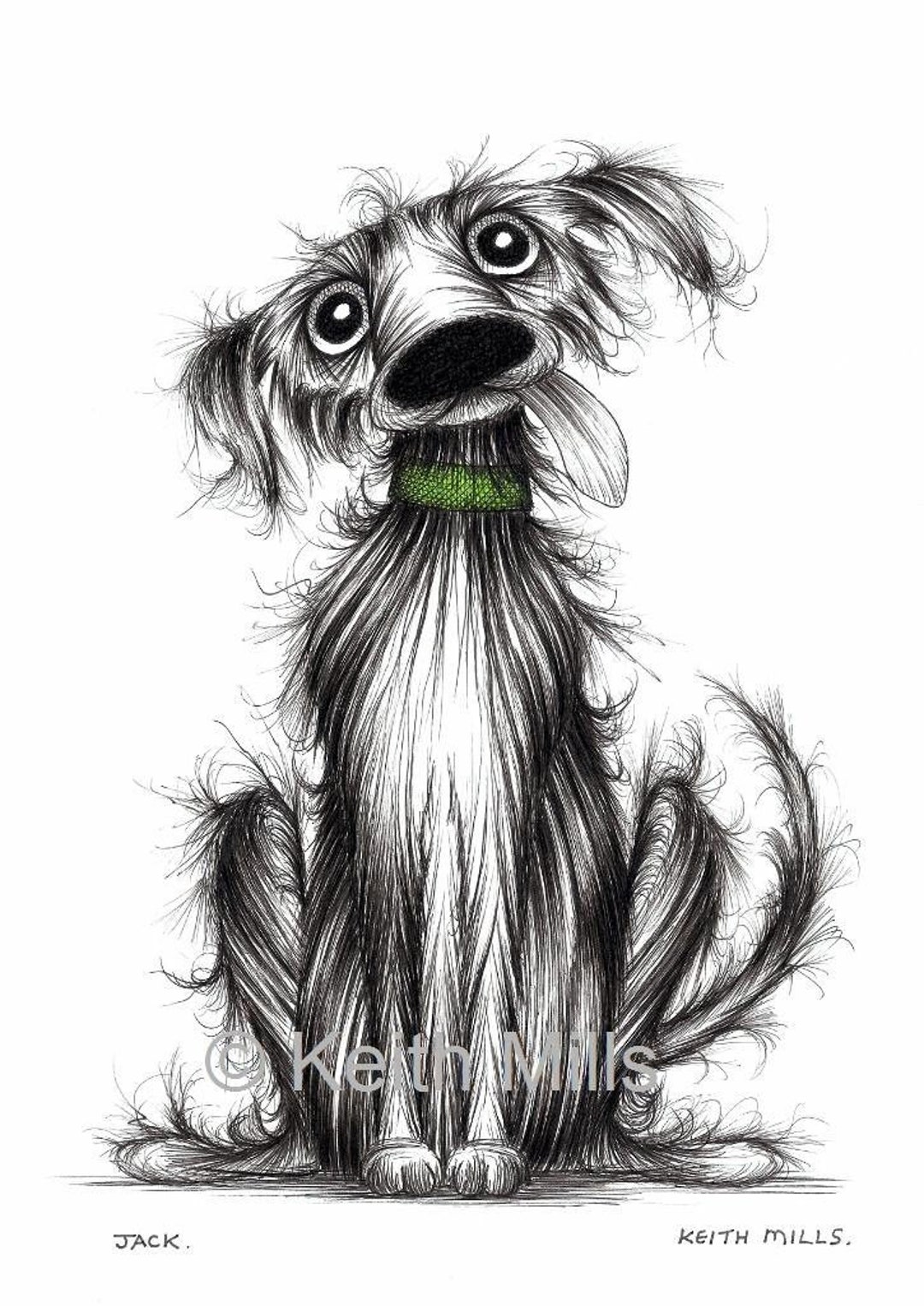 Jack Print A4 Size Picture Slightly Strange Looking Pet Pooch Puppy Dog ...