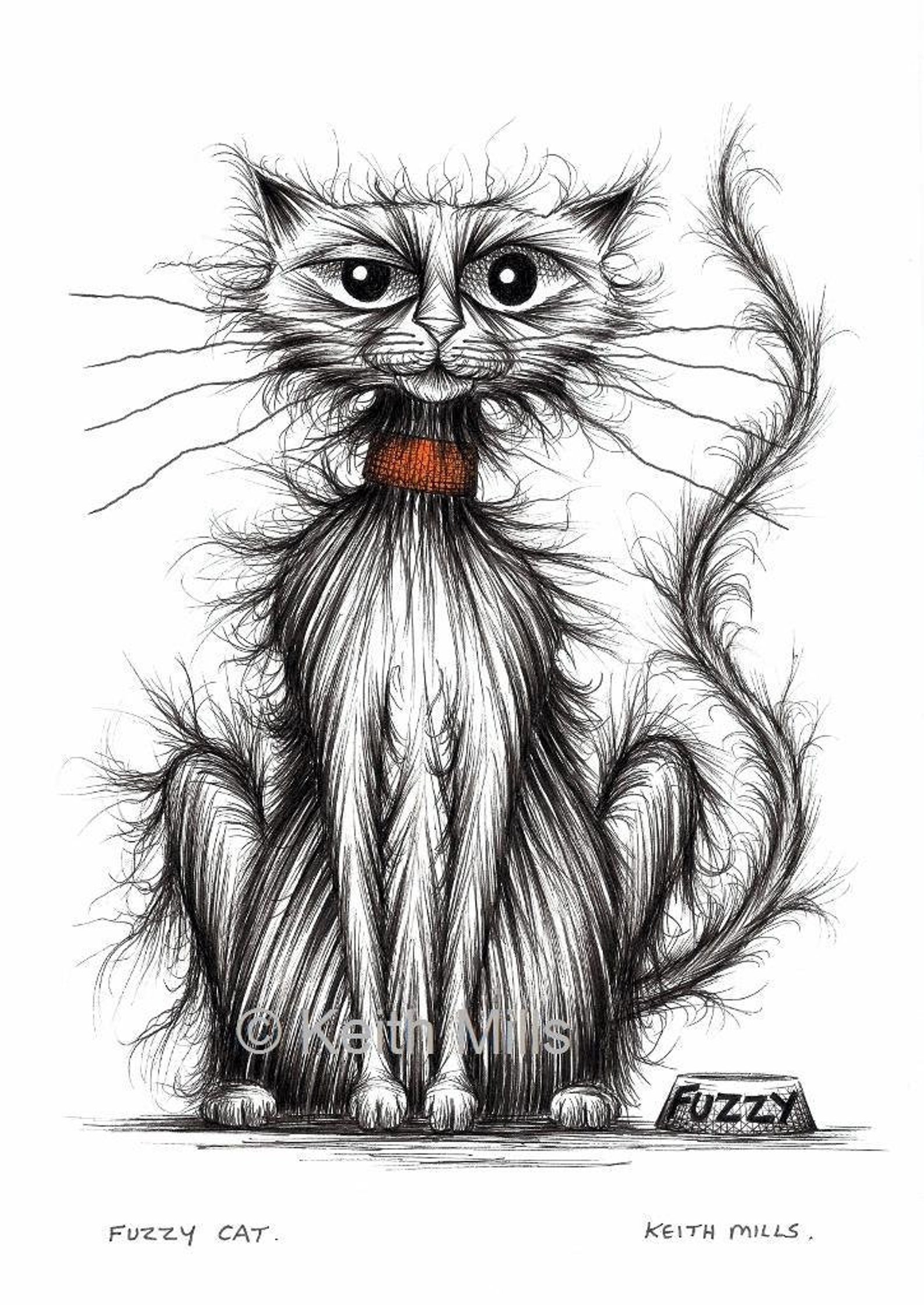 Fuzzy Cat Print Download Fluffy Frizzy Slightly Scruffy Shabby Pet Puss ...