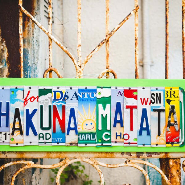 Upcycled License Plates - Etsy