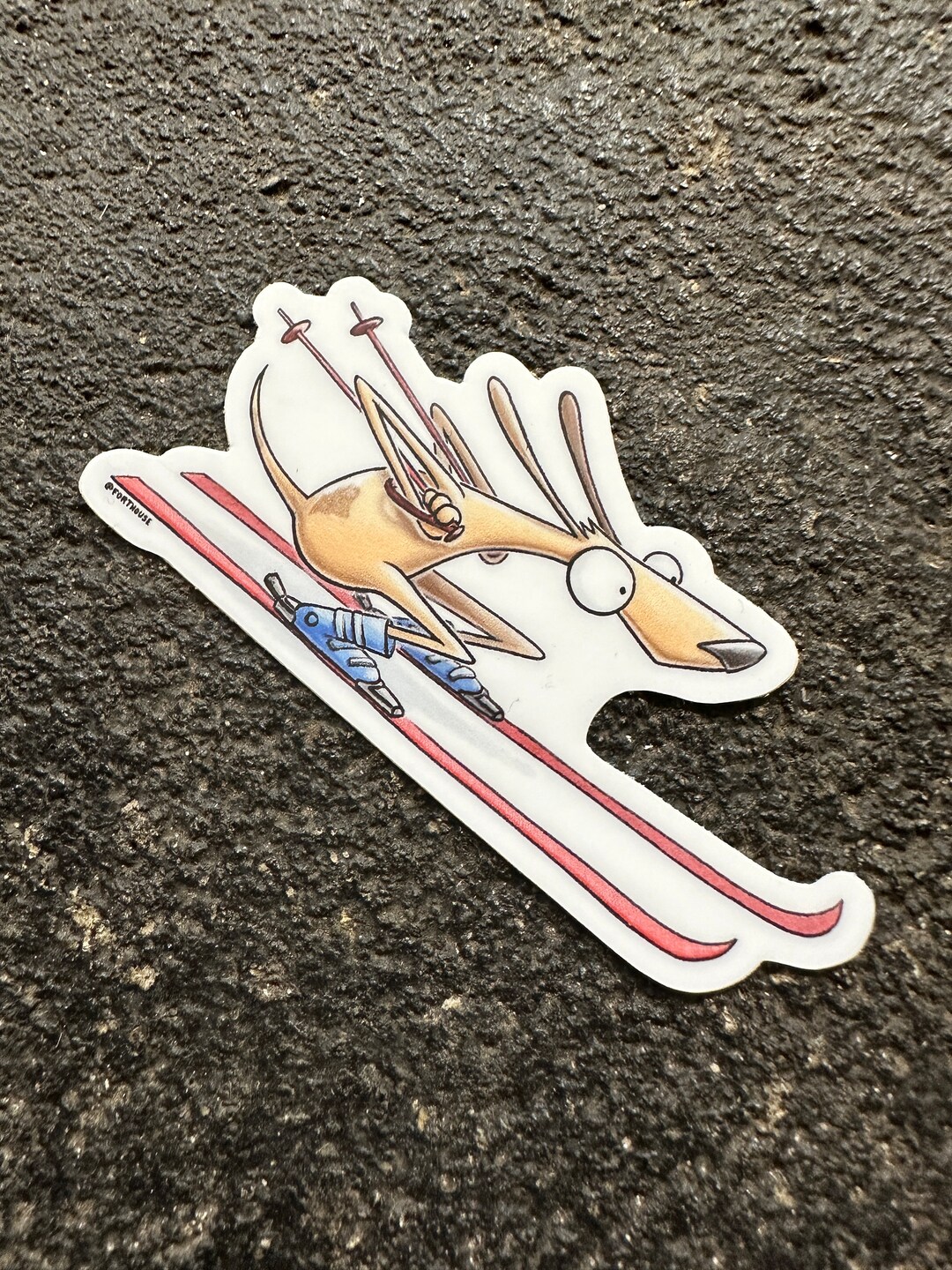 Dog Ski Sticker - Etsy