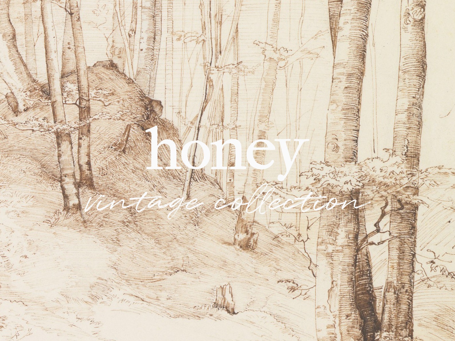 Light Academia Forest Ink Drawing Printable Wall Art - Etsy