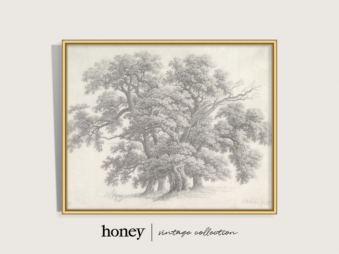 Charcoal Drawing of Oak Trees Printable Wall Art - Etsy