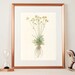 Wildflower Print Light Academia Printable Wall Art I - Etsy