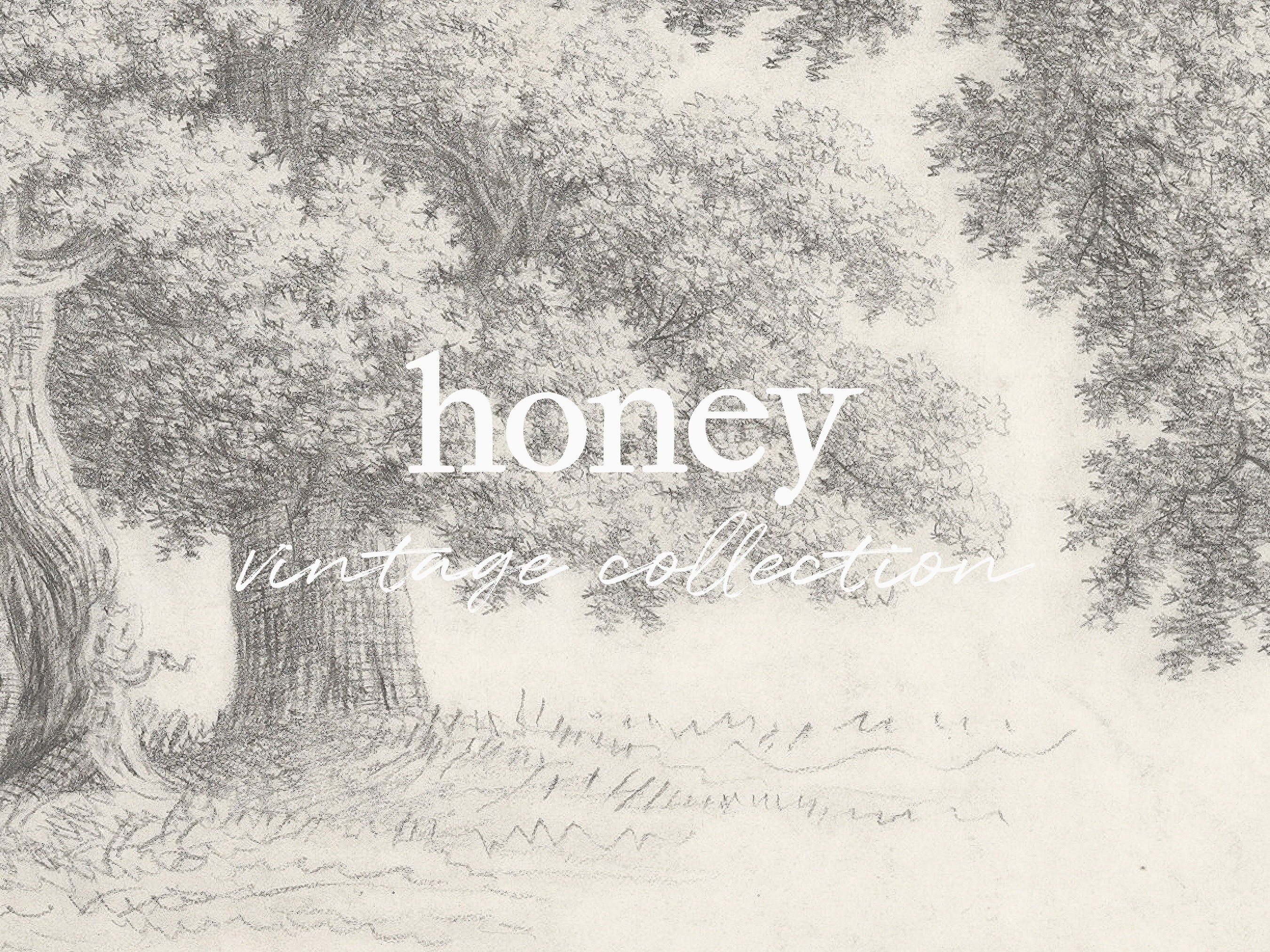 Charcoal Drawing of Oak Trees Printable Wall Art - Etsy