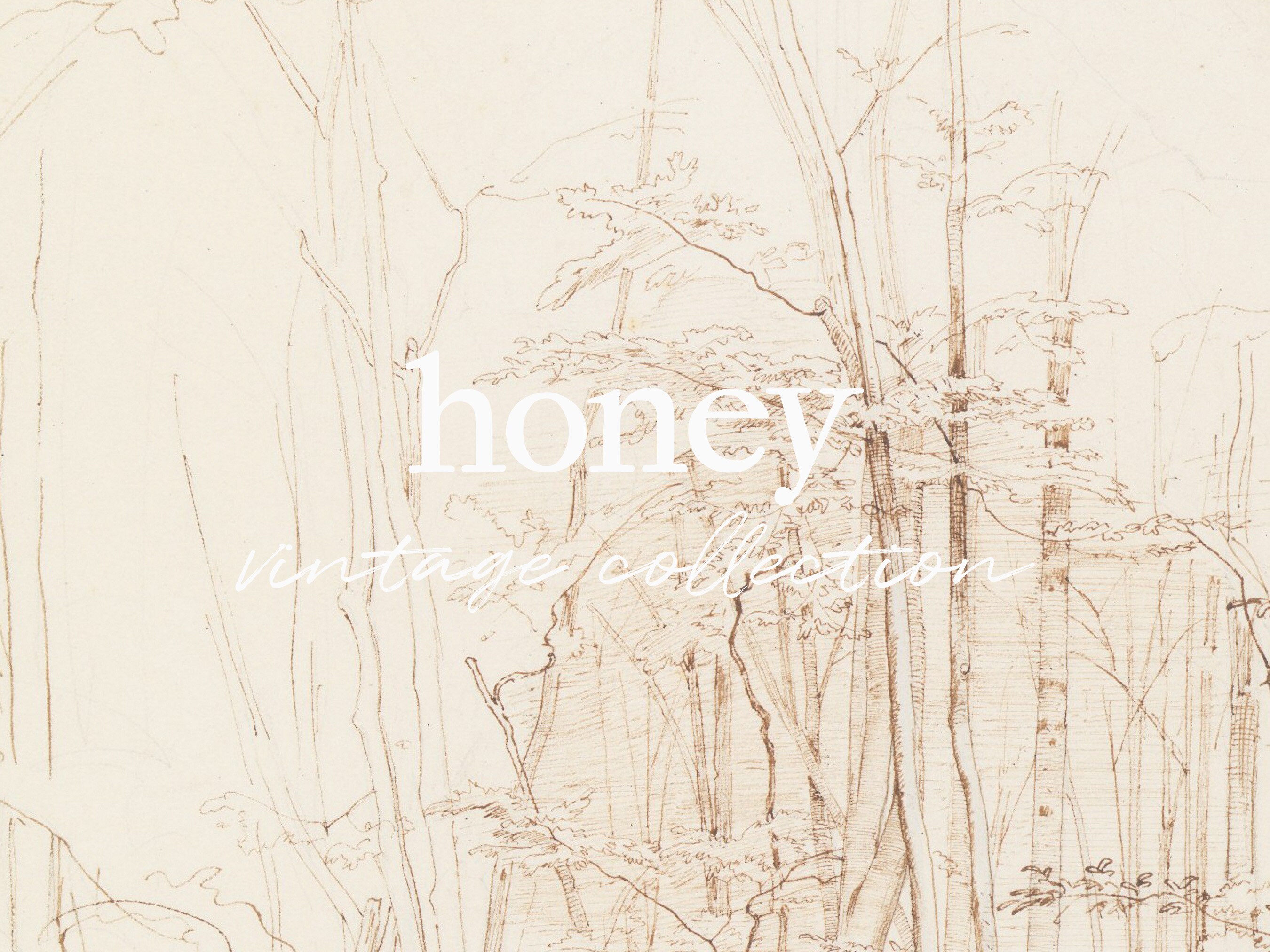 Light Academia Forest Ink Drawing Printable Wall Art - Etsy