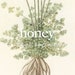 Wildflower Print Light Academia Printable Wall Art I - Etsy