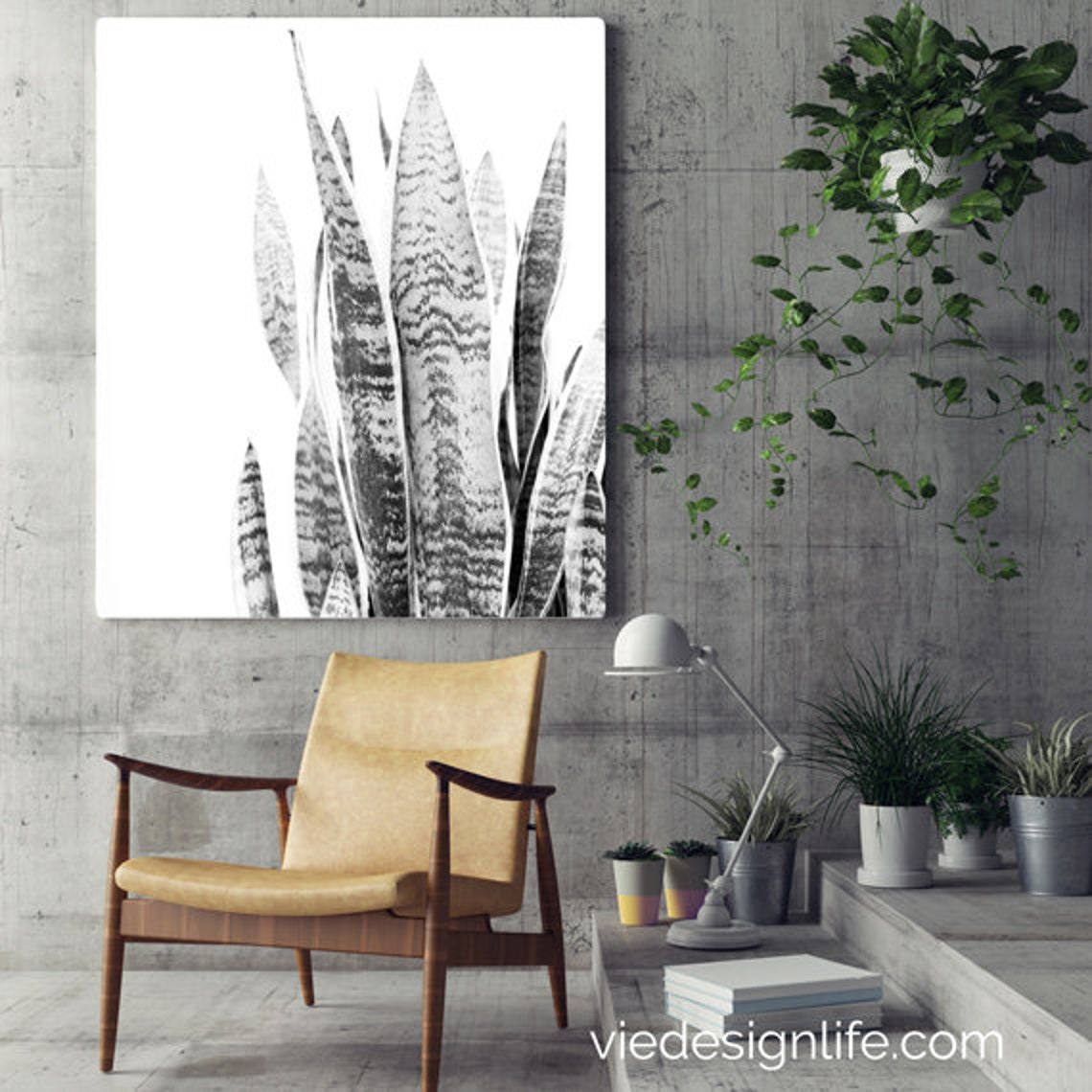 Snake Plant Printable Art | Home Decor | Black and White Photography - Etsy