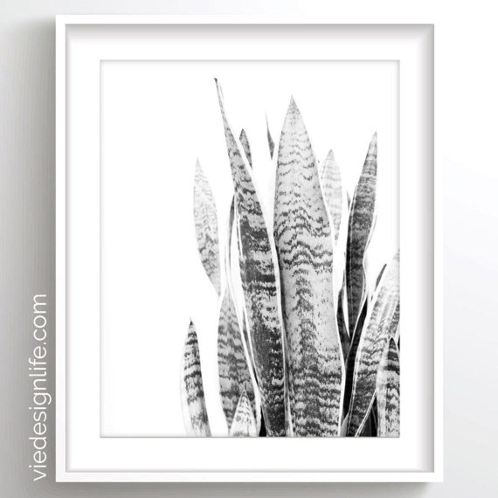 Snake Plant Printable Art | Home Decor | Black and White Photography - Etsy
