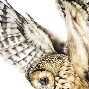 Owl Print, Tawny Owl in Flight Art Print, Home Decor, Fine Art Prints ...