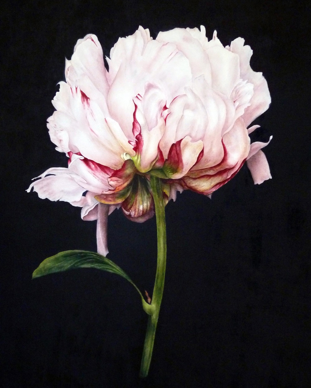 Peony Watercolor Art Print: Modern Botanical Wall Decor - Etsy