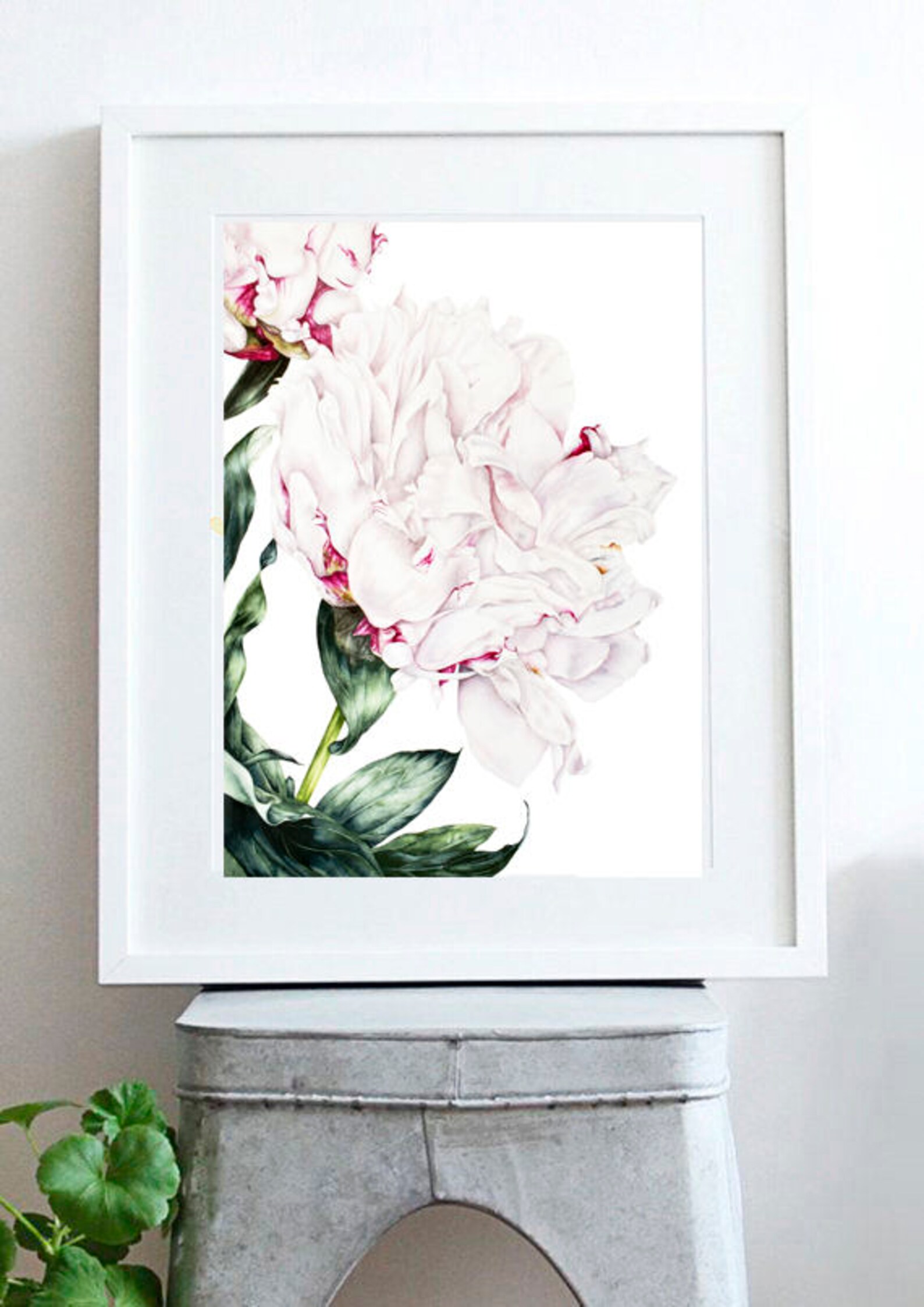Botanical Art Print Large Botanical Print Watercolour Print - Etsy