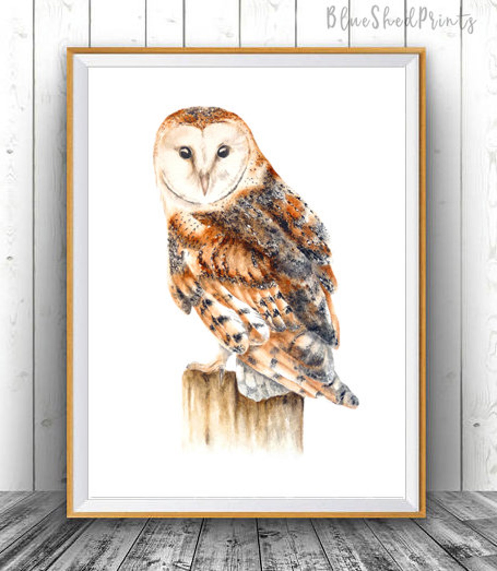 Barn Owl Large Fine Art Print Owl Painting Watercolour Owl | Etsy