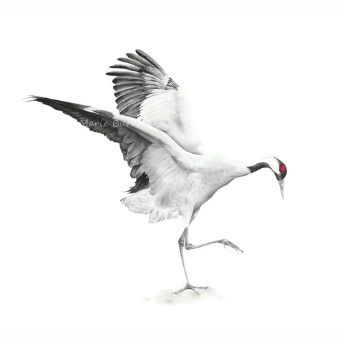 Karlo Rojc Art Print / Large Art Print / Wall Decor / Sailor | Etsy