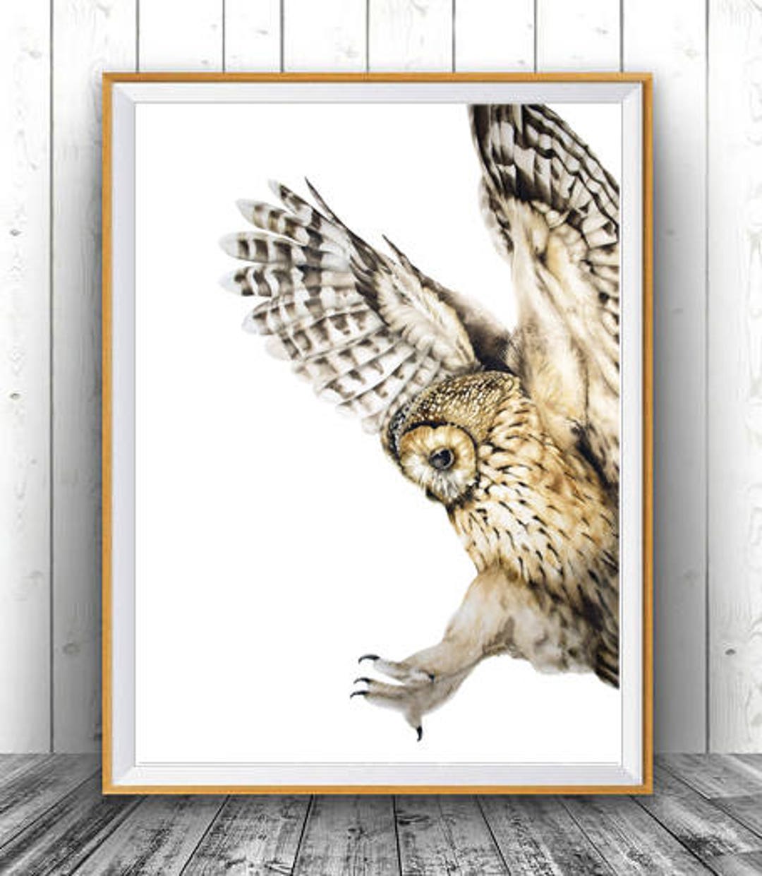 Owl Print, Tawny Owl in Flight Art Print, Home Decor, Fine Art Prints ...