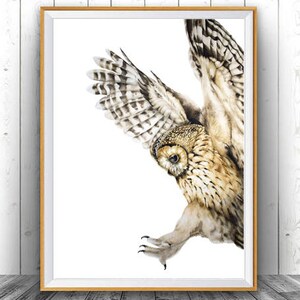 Owl Print, Tawny Owl in Flight Art Print, Home Decor, Fine Art Prints ...