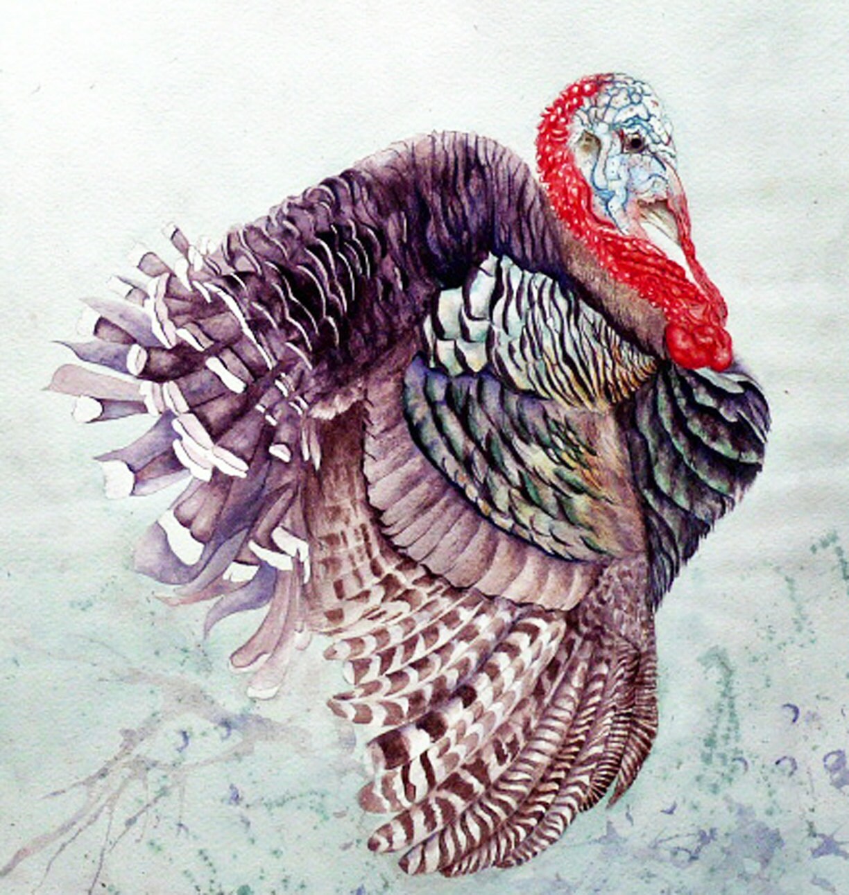 Stag Turkey Large Fine Art Print Watercolour Bird Print - Etsy