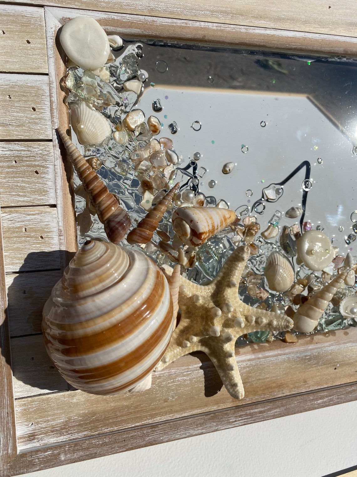 Seashell Glass Art Wall And/or Window Art With Real Seashells ...