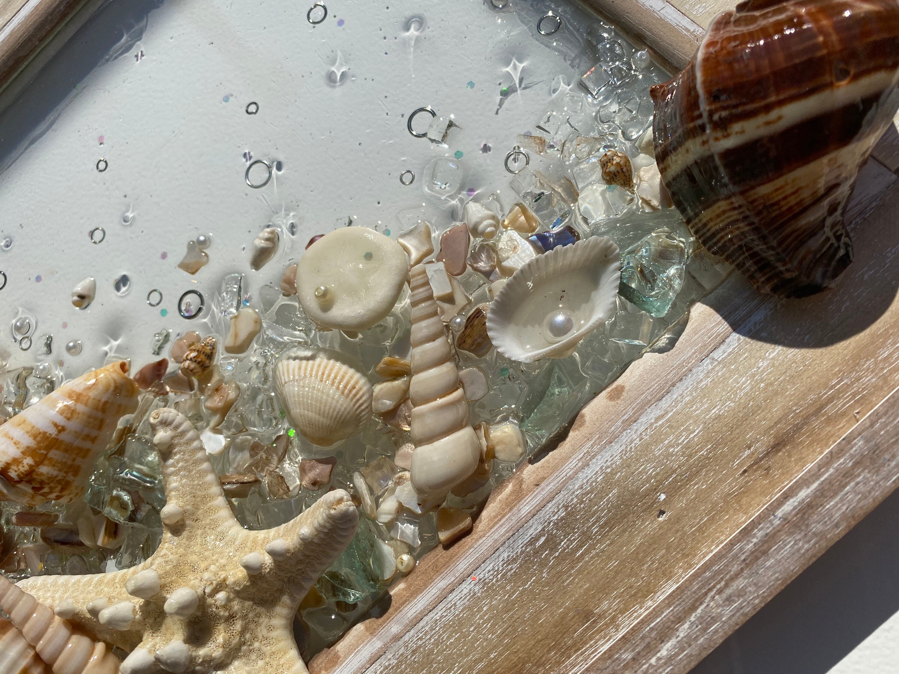 Seashell Glass Art Wall And/or Window Art With Real Seashells ...