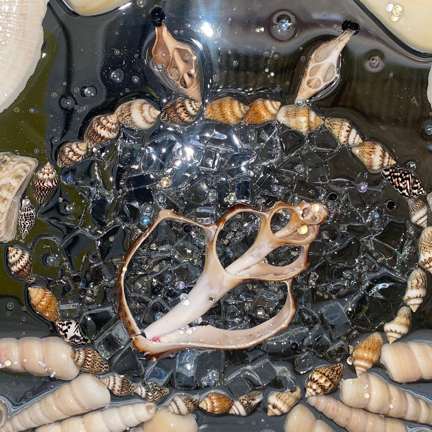 Crab - Sea Shell - Resin - Window Art - Beach Decor - Etsy