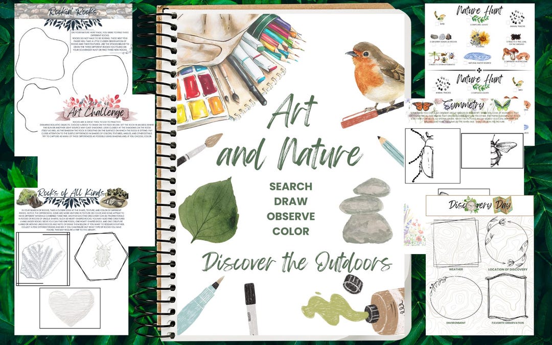 Art & Nature Lesson and Activity Guide -COLOR - Etsy