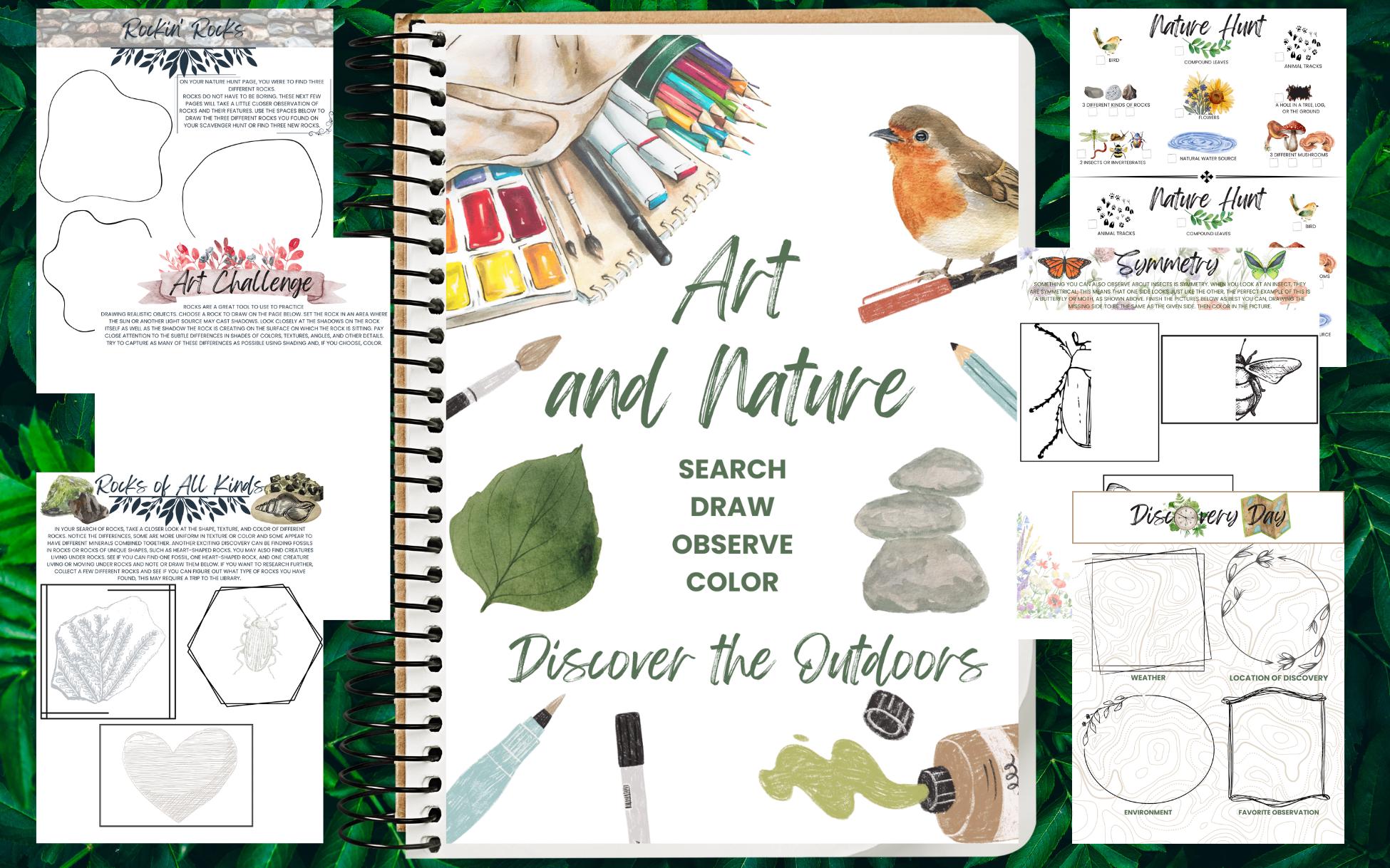 Art & Nature Lesson and Activity Guide -COLOR - Etsy