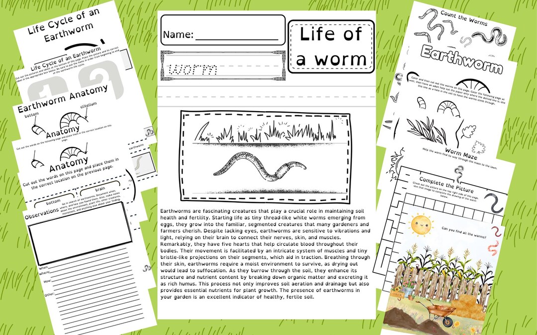 Earthworm Learning Packet: Life Cycle, Anatomy, Maze (digital Download ...