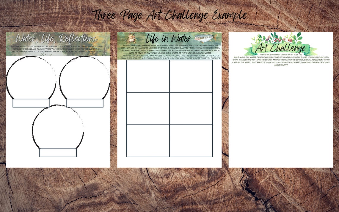 Art & Nature Lesson and Activity Guide -COLOR - Etsy