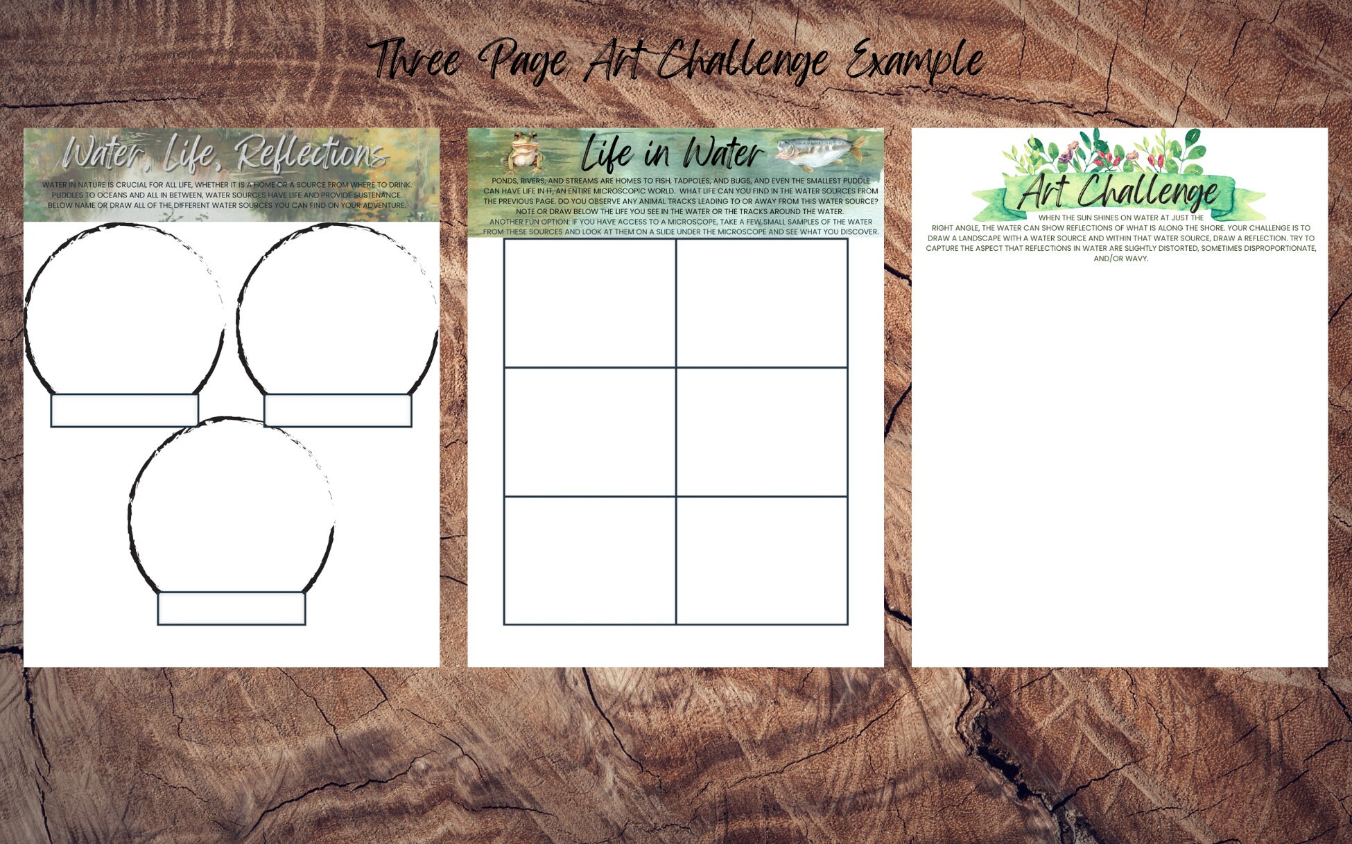 Art & Nature Lesson and Activity Guide -COLOR - Etsy