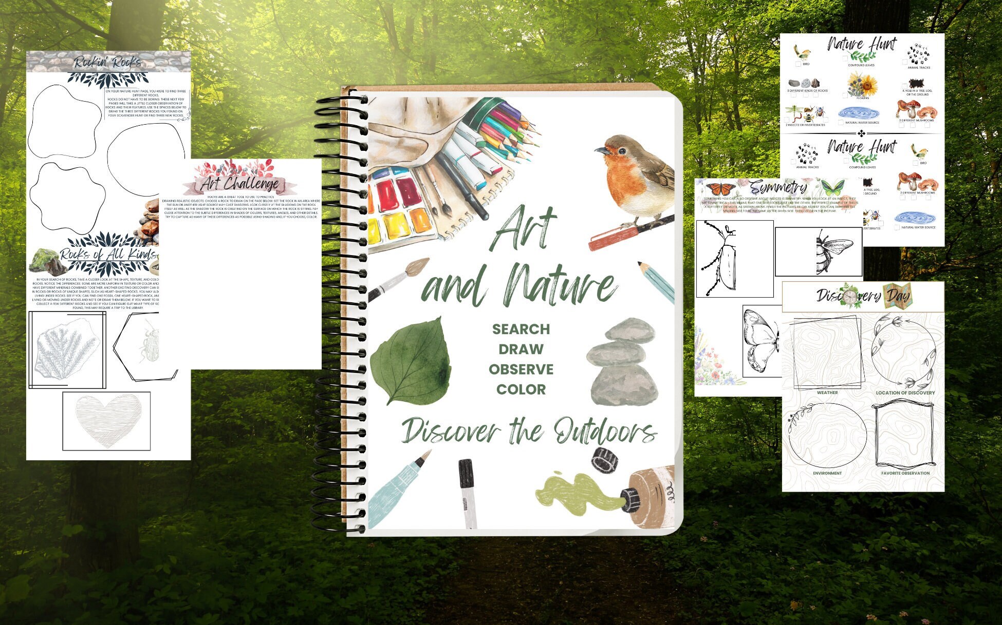 Art & Nature Lesson and Activity Guide COLOR - Etsy