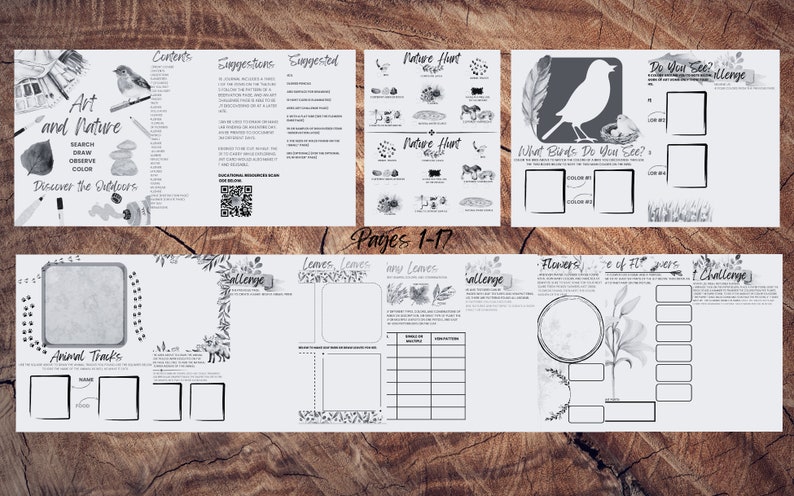 Art & Nature Lesson and Activity Guide -GRAYSCALE - Etsy