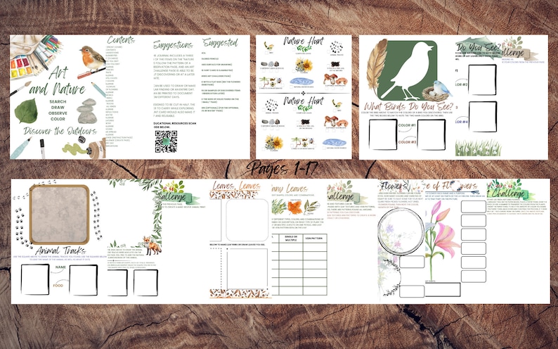 Art & Nature Lesson and Activity Guide -COLOR - Etsy