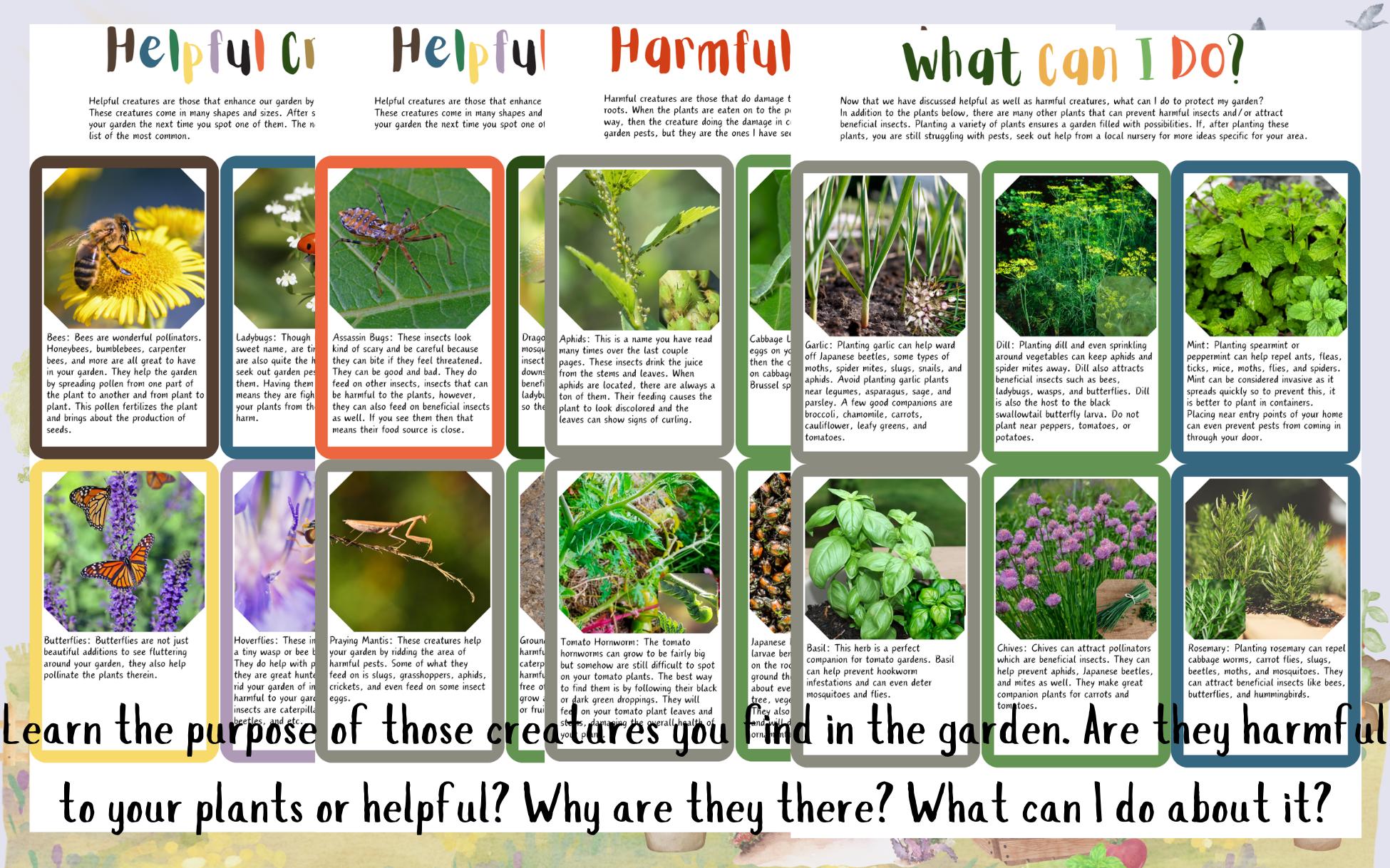 I Spy Garden Guide - Etsy