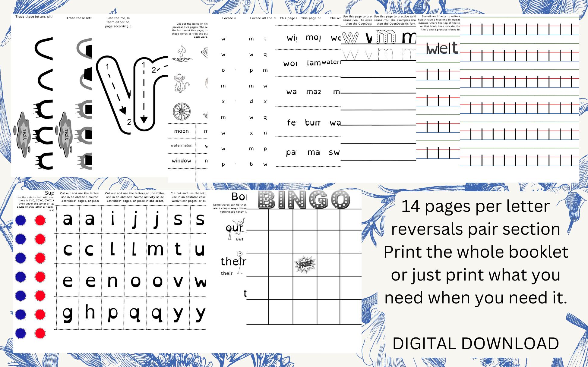 Letter Reversals Workbook-dyslexia - Etsy
