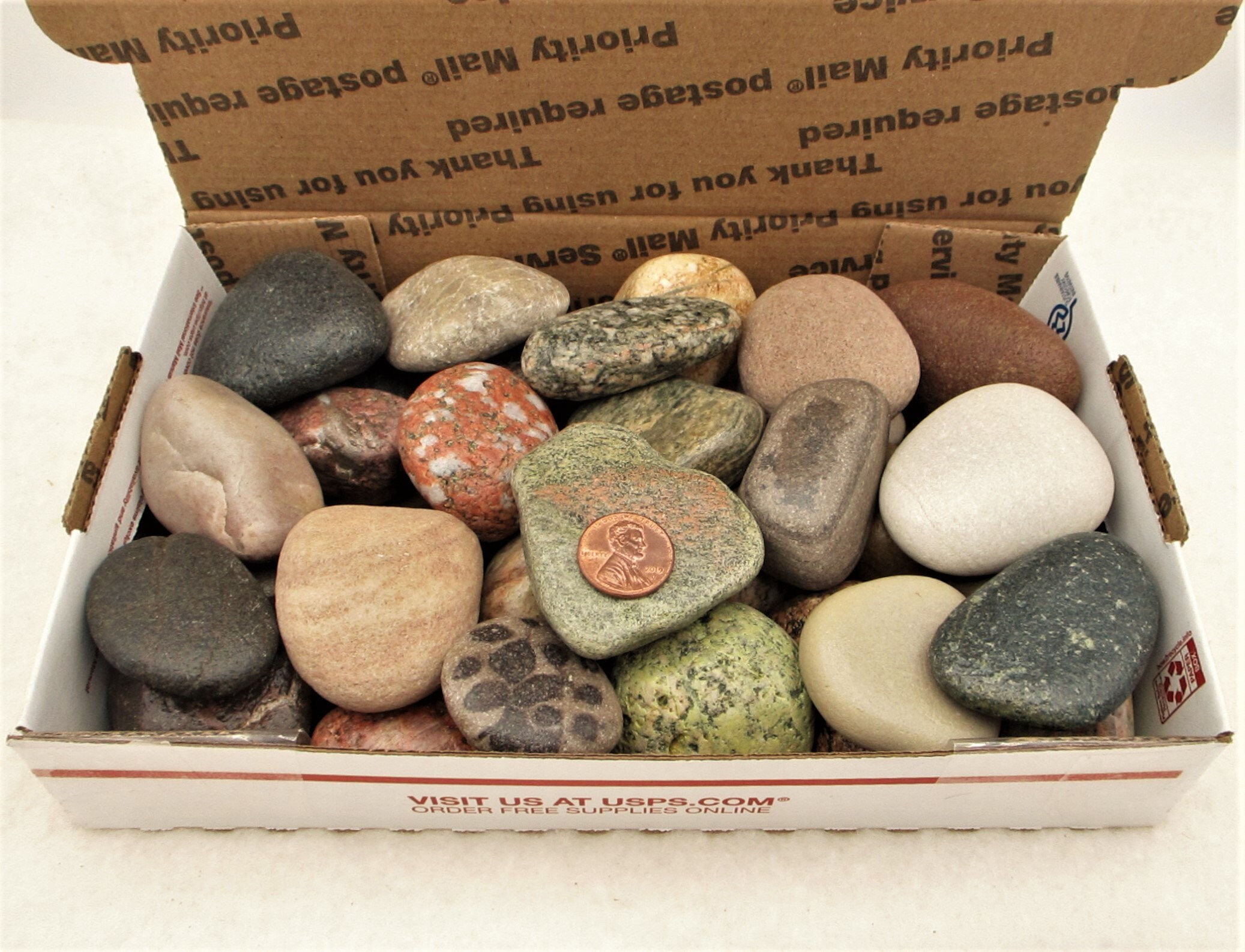 Shiny and Colorful Small Stone Assortment from Lake Michigan, Clear ...