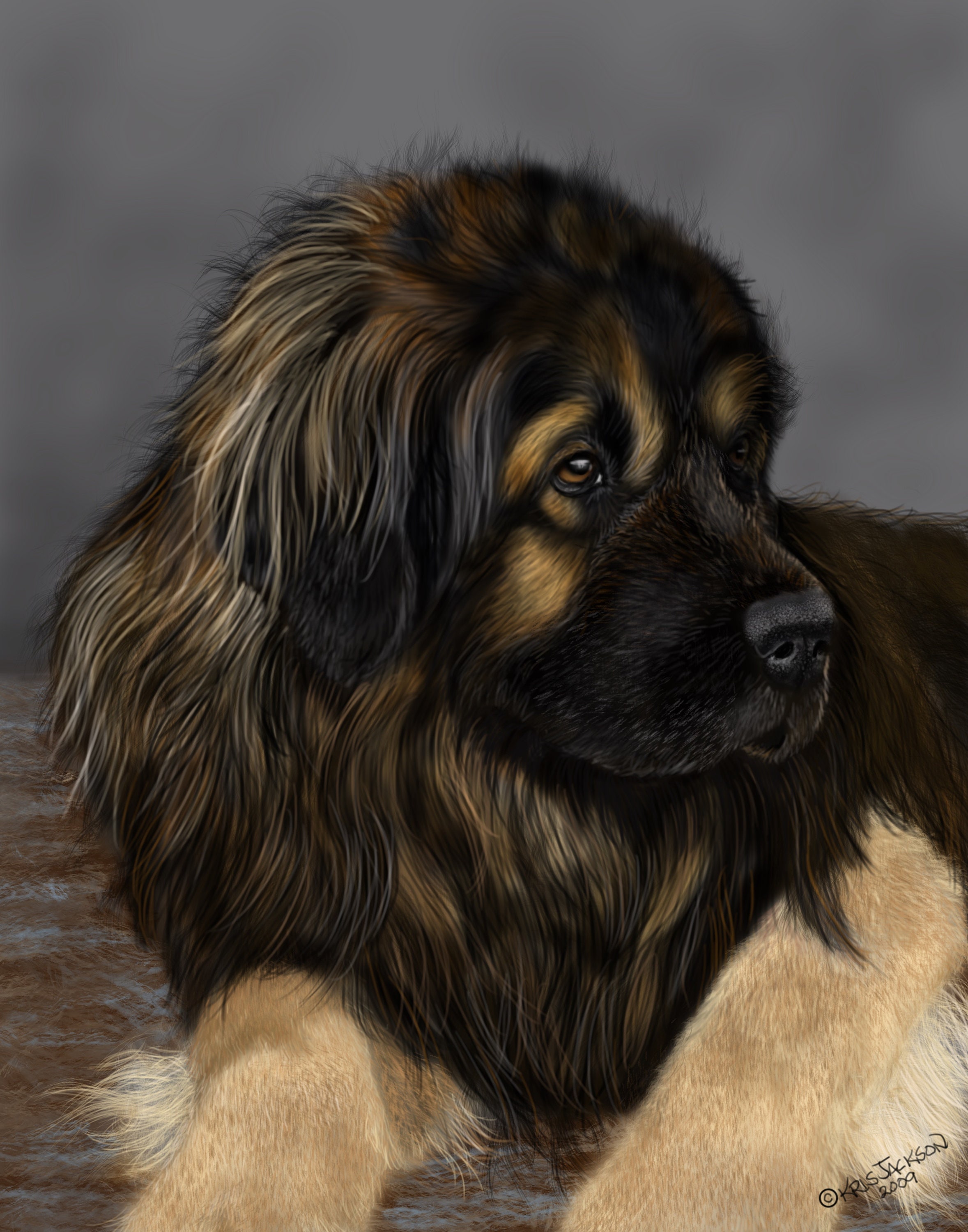 Leonberger Art Print - Etsy