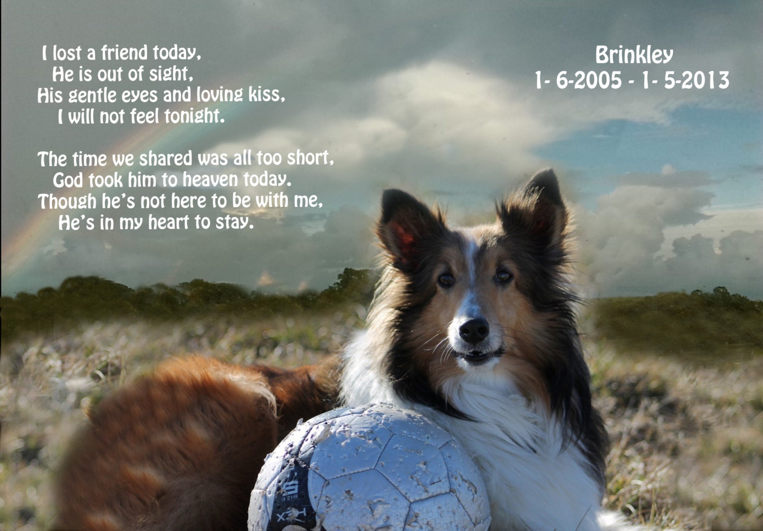 Custom Dog Memorial Photo - Etsy