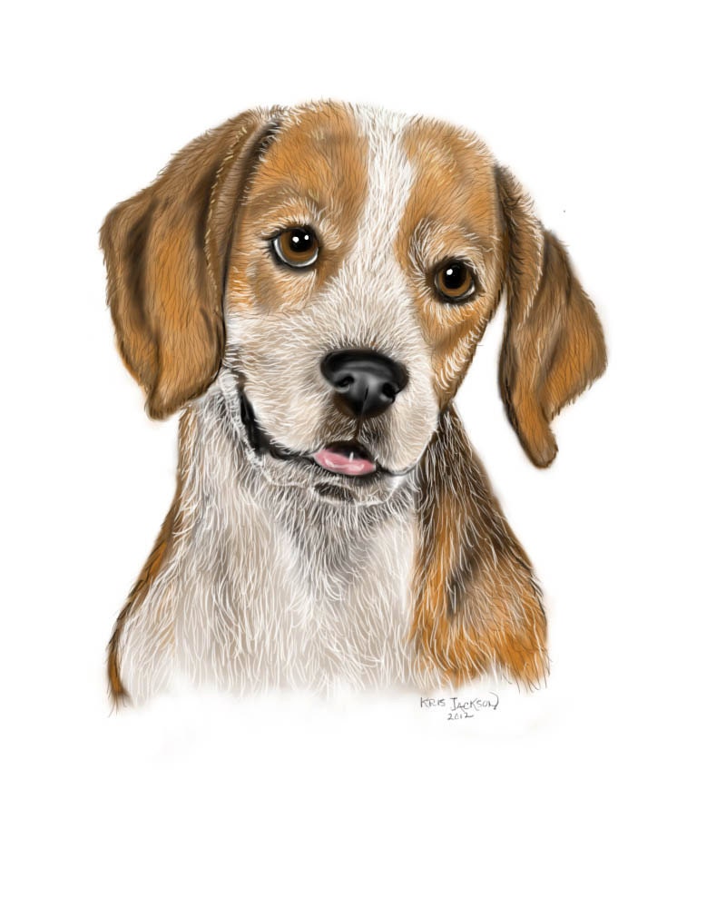 Beagle Original Art Print - Etsy