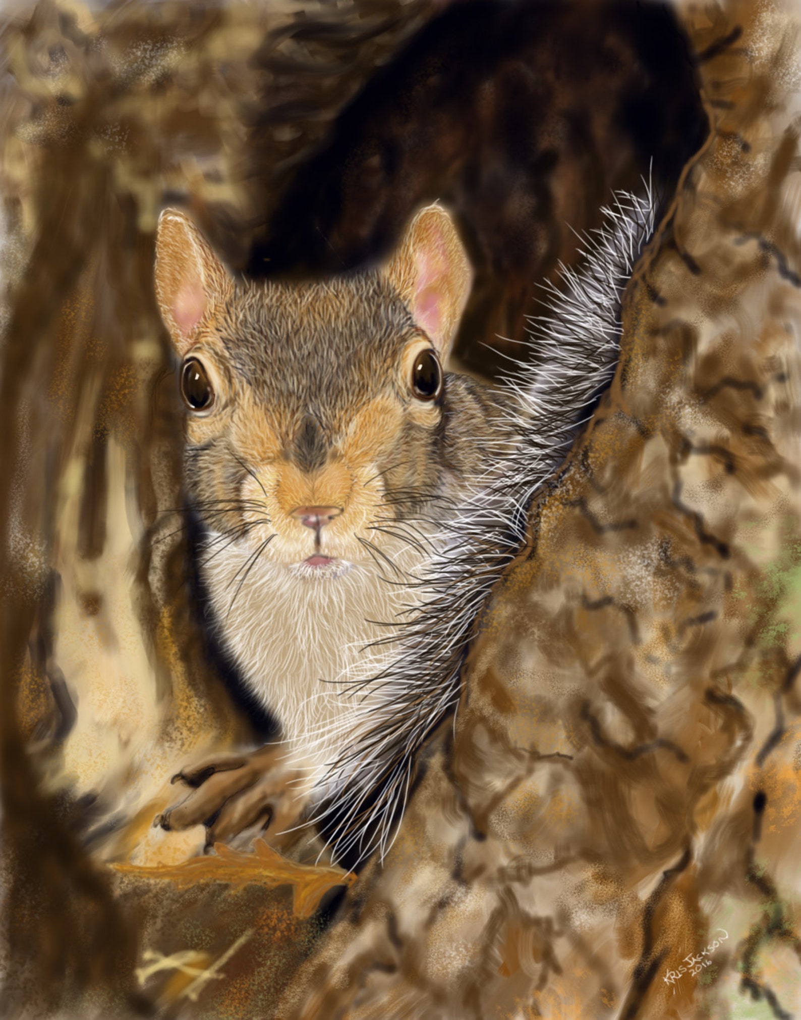 Squirrel Note Cards - Etsy