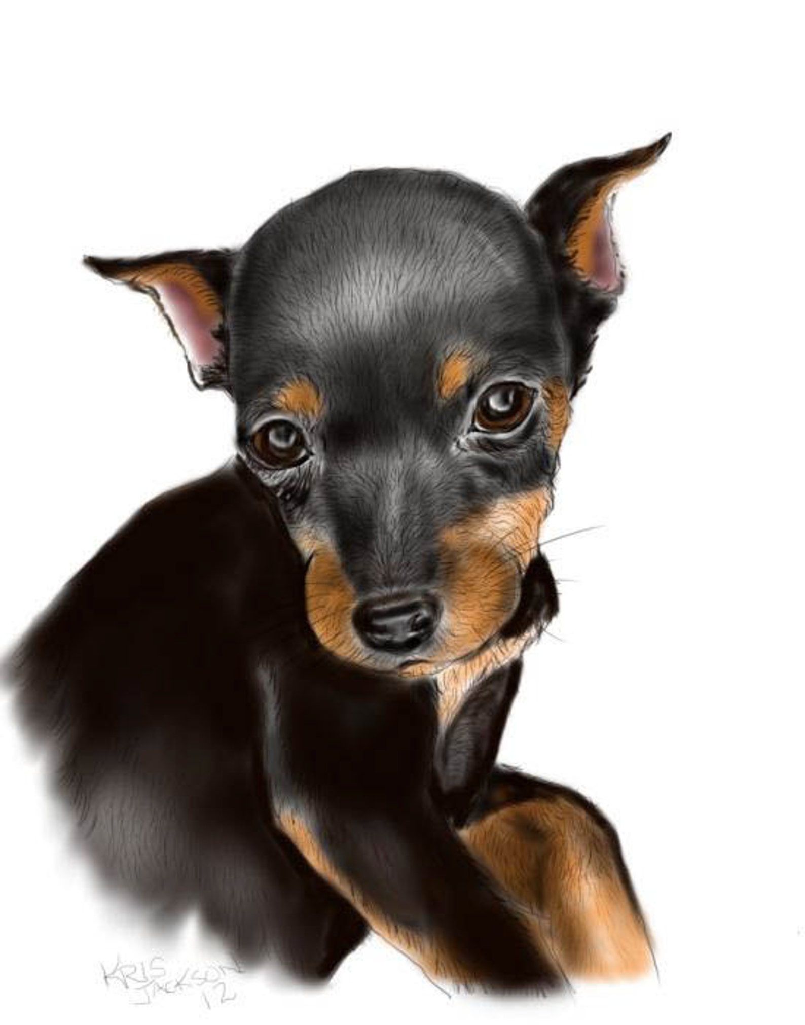 4 Miniature Pinscher Blank Note Cards - Etsy