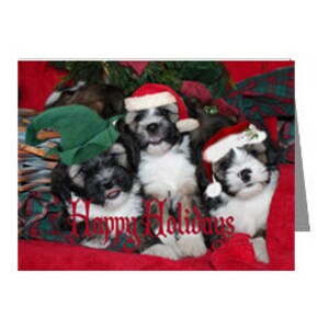 5 Assorted Puppy Christmas Cards - Etsy